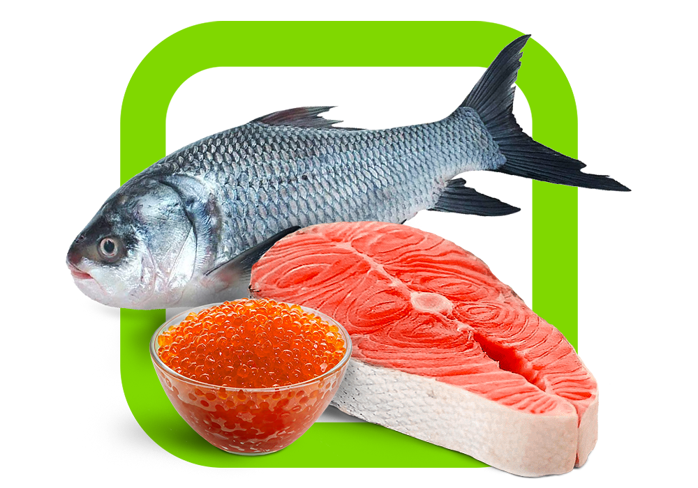 Order online | 2 nabiji